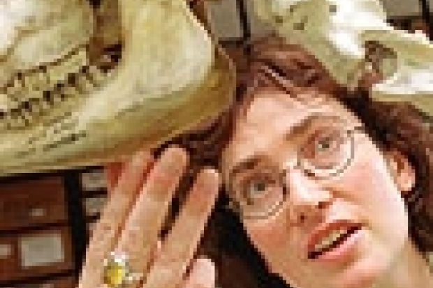 No bones about a dusty old dig | Times Higher Education (THE)