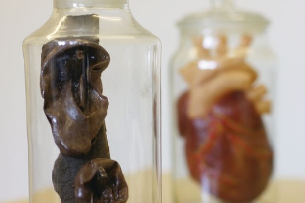 Odds and quads | Times Higher Education (THE)