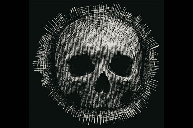 Research cluster explores all things gothic | Times Higher Education (THE)