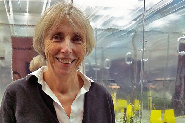 Interview with Caroline Dean | Times Higher Education (THE)