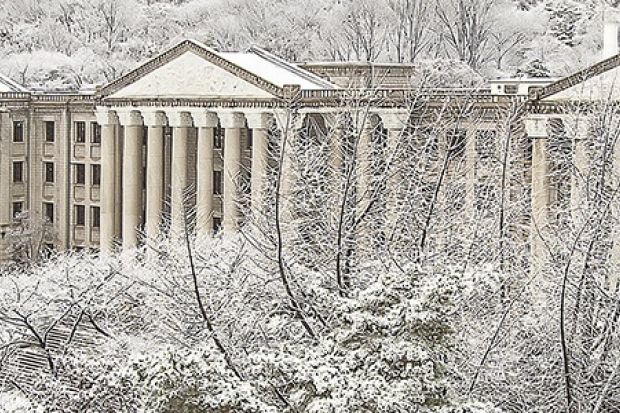 The most festive universities on Instagram 2019 | Times Higher ...