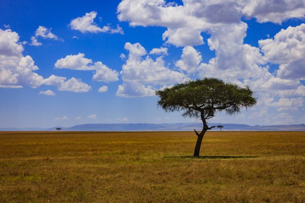 Introducing our Sub-Saharan Africa University Rankings advisory board ...