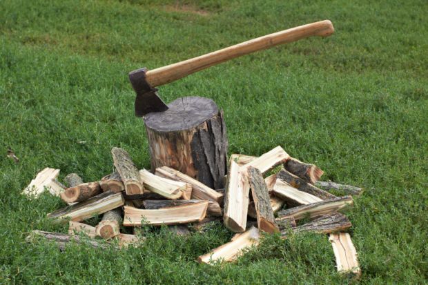Chopping Wood Physical Change
