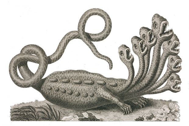 Monster with many heads | Times Higher Education (THE)