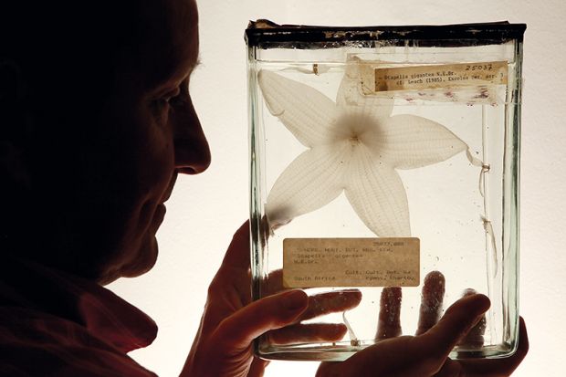 A Sonnet to Science: Scientists and Their Poetry, by Sam Illingworth ...
