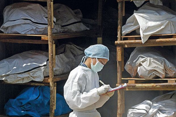 All that remains: life as a forensic anthropologist | THE Features