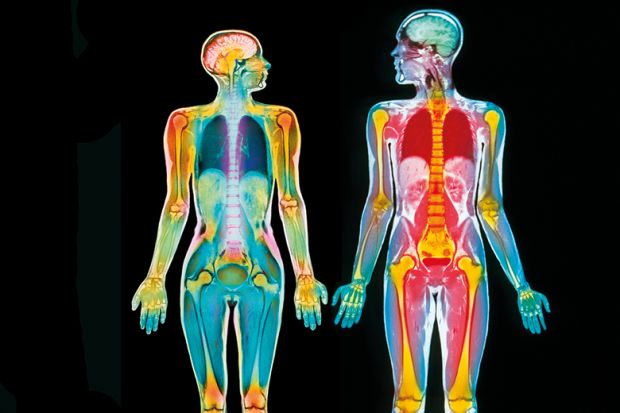 Why Men Matter: An Evolutionary Psychology Perspective – University of ...
