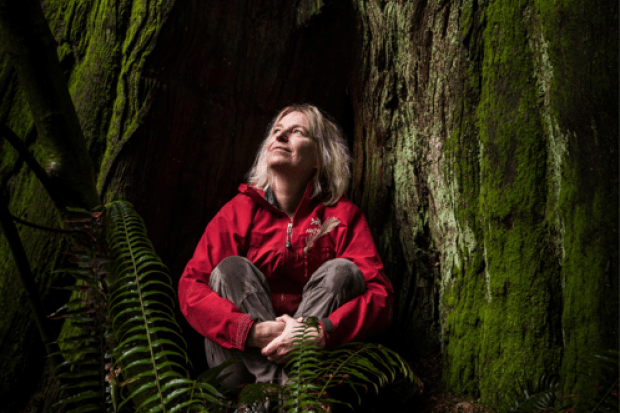 Forest pioneer Suzanne Simard on academic life | Times Higher Education ...