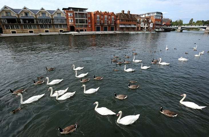 Athena SWAN equality charter could cover ethnicity and disability ...