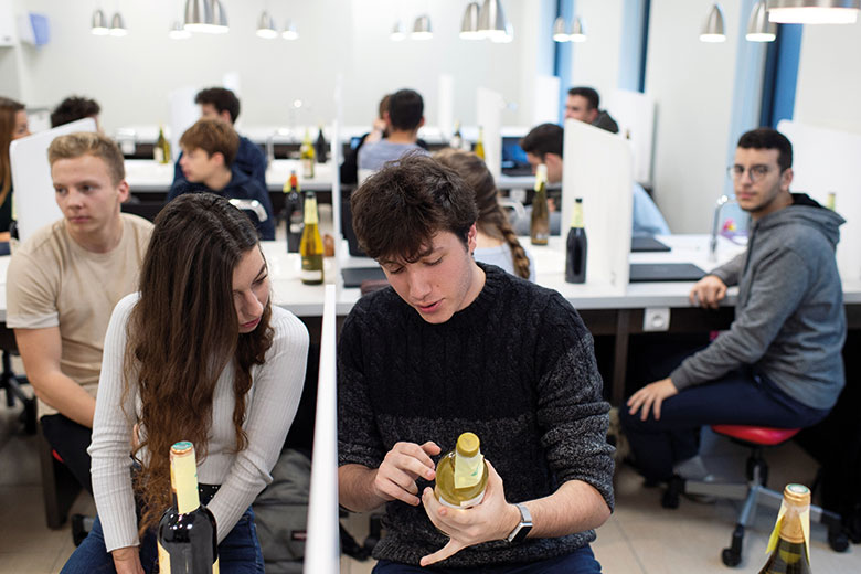 It’s in the grape: cultivating an MBA about wine | Times Higher ...