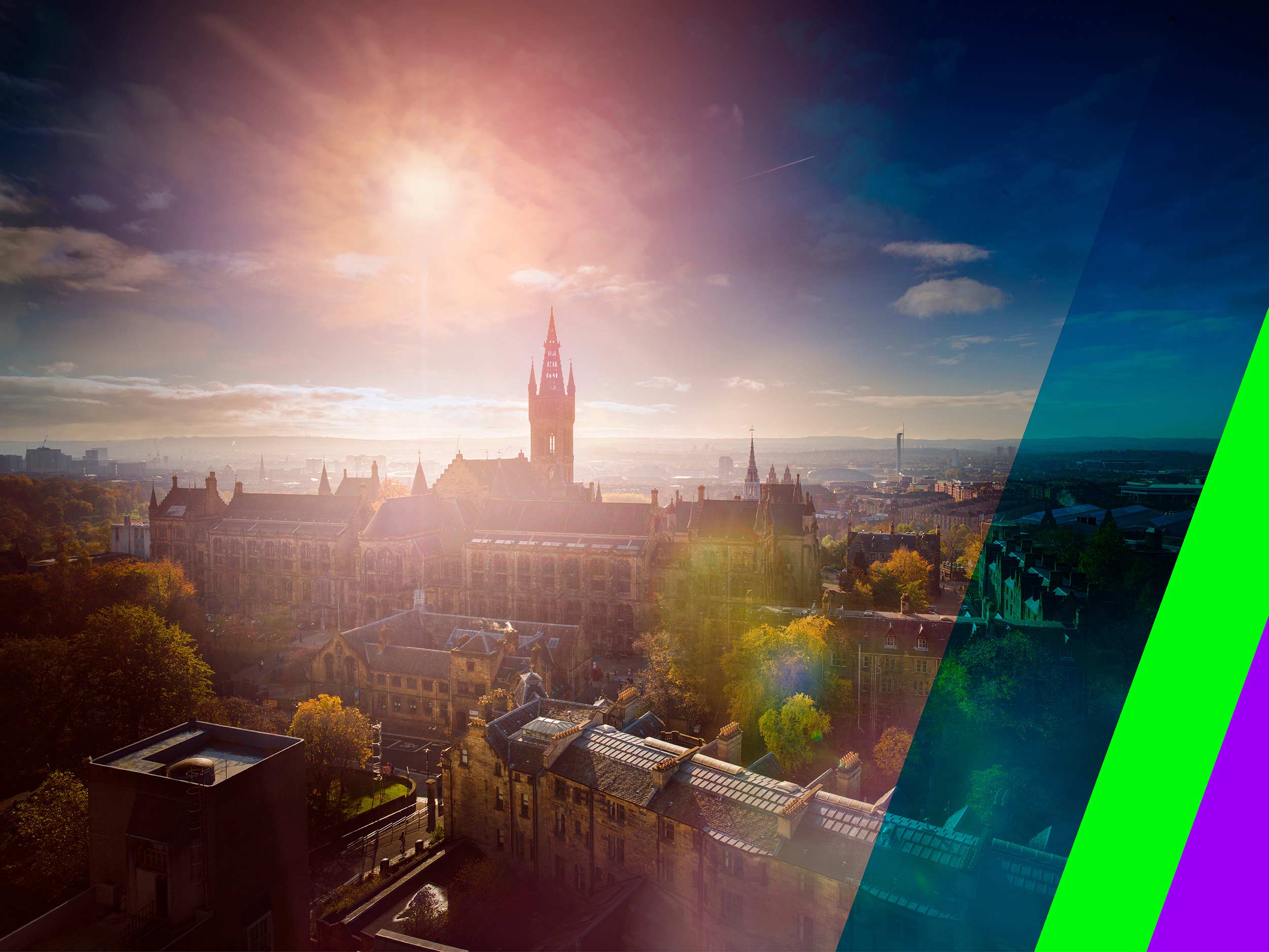 Find the Best Universities in the World - THE