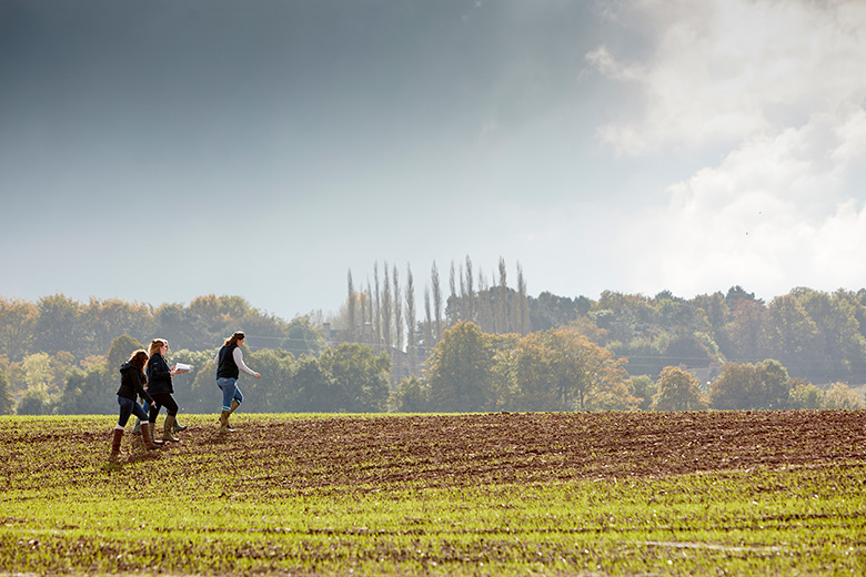 Student Experience Survey 2017: Down on the farm at Harper Adams | Student