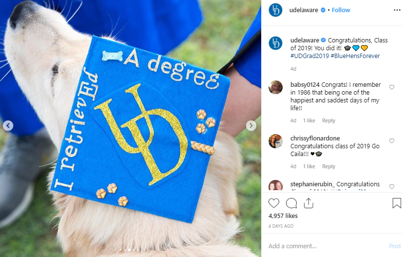 The best graduation cap decorations on Instagram | Student